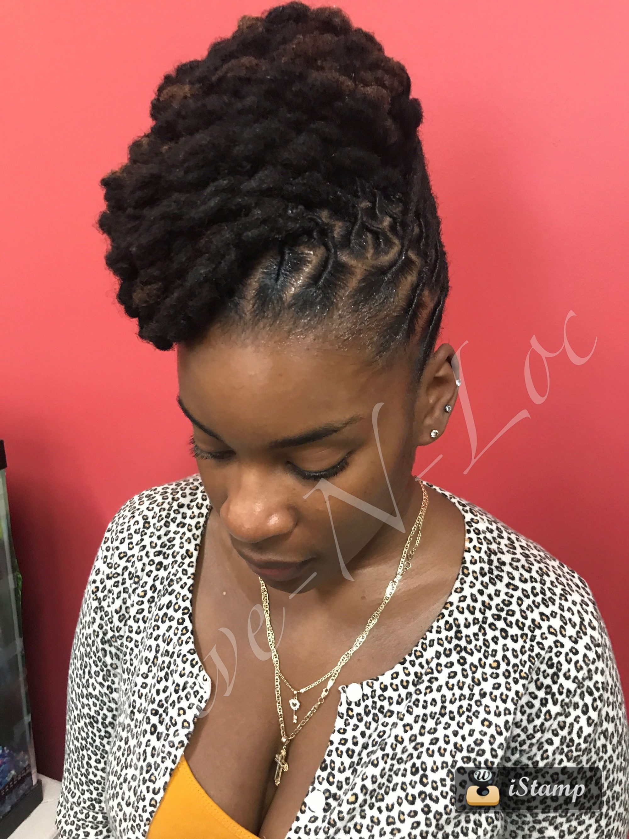 250+ Elegant Braids / Locs / African Hairstyles