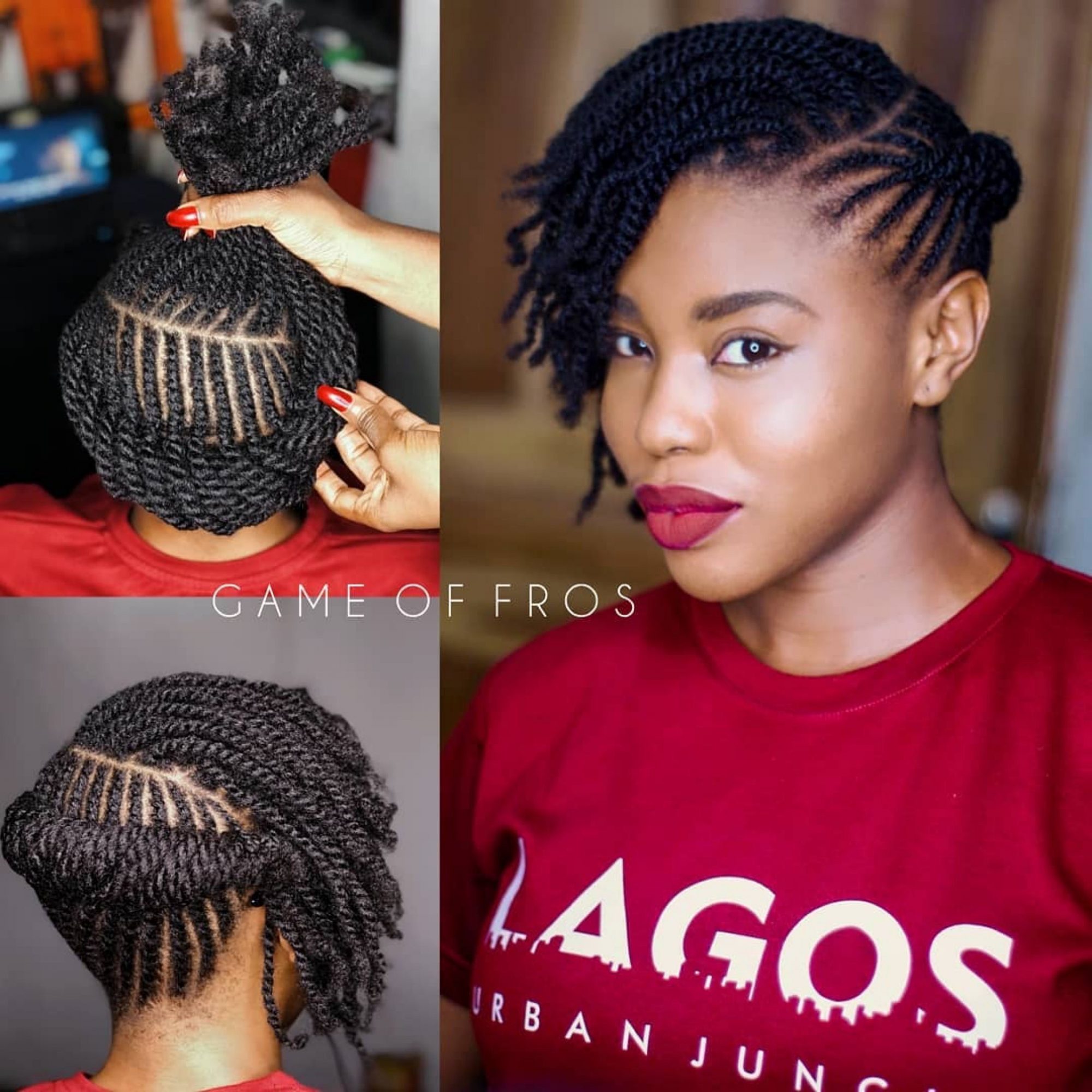 180+ Experience the Best With African Braids Hairstyles